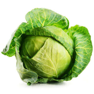 Cabbage-Glory – Farmscart